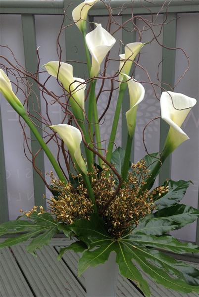 Vase Arum Lily Display Greensleaves Florist Stamford